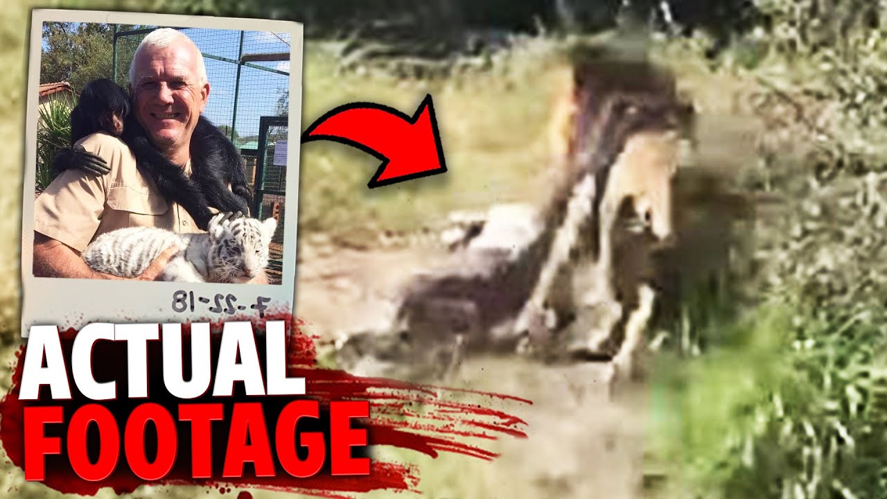 The HORRIFYING Footage of Mike Hodge MAULED By His Lion! - YouTube