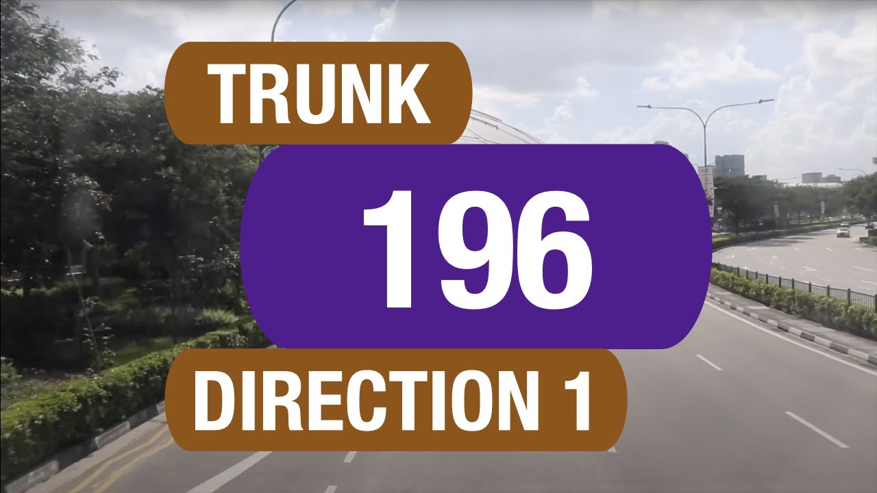 SBS Transit Trunk 196 (Direction 1) | Bus Service Route Visual - YouTube