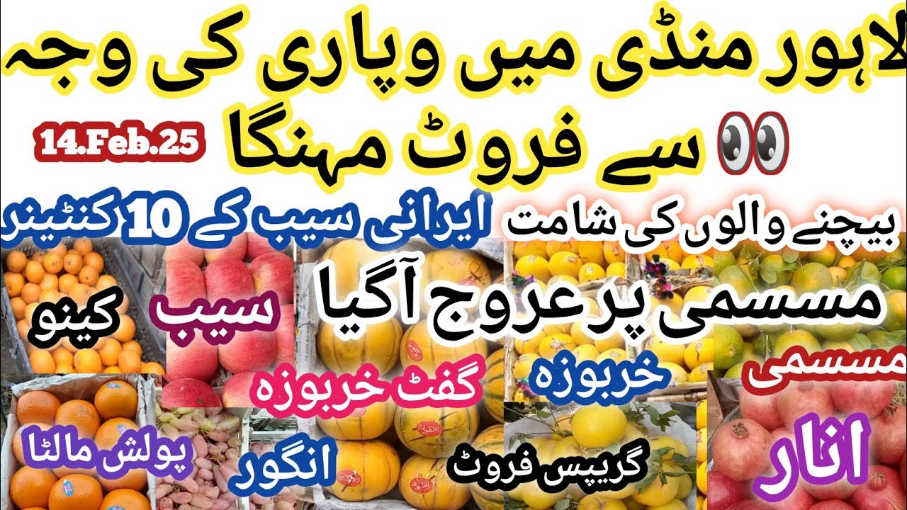 Fruit Mandi Lahore updated|pakistan wholesale fruit market|14.Feb.2025 ...