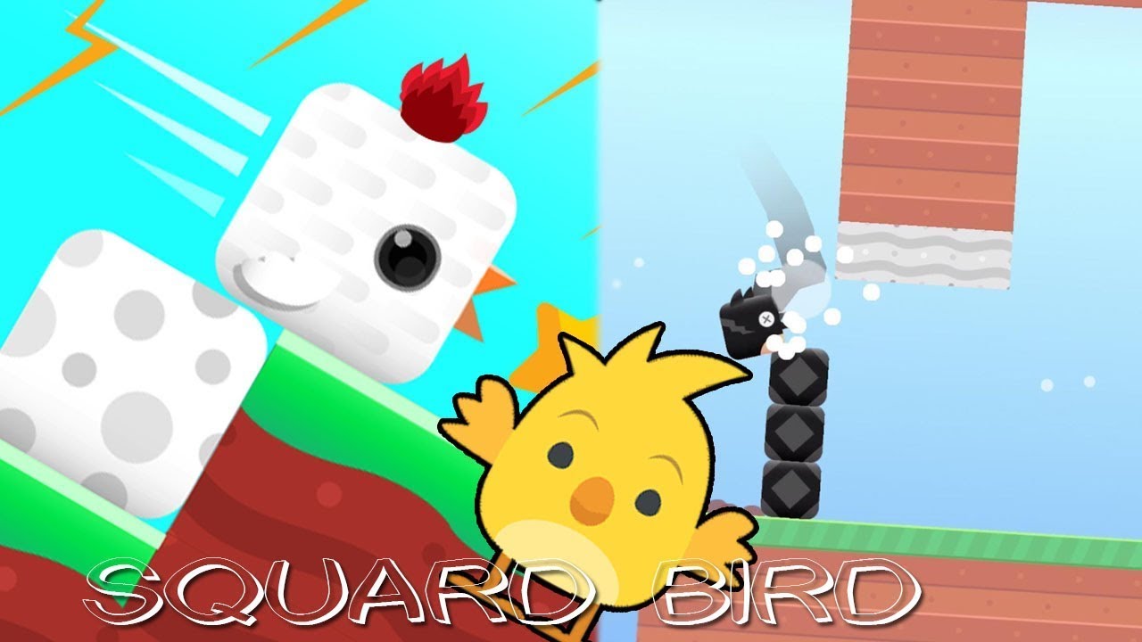 Square Bird Evolution!!!!GAMEPLAY!!! - YouTube