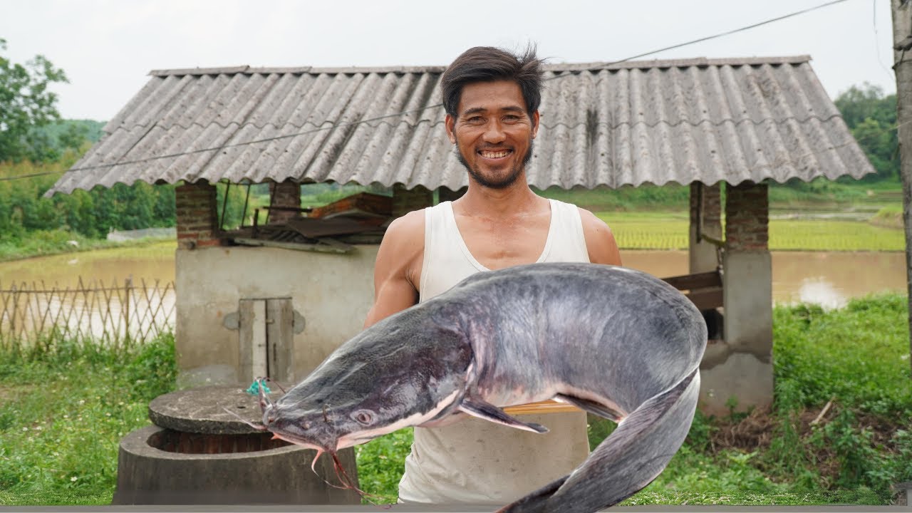 Unique Fish Trap Of Catching Lot Of Fish - YouTube