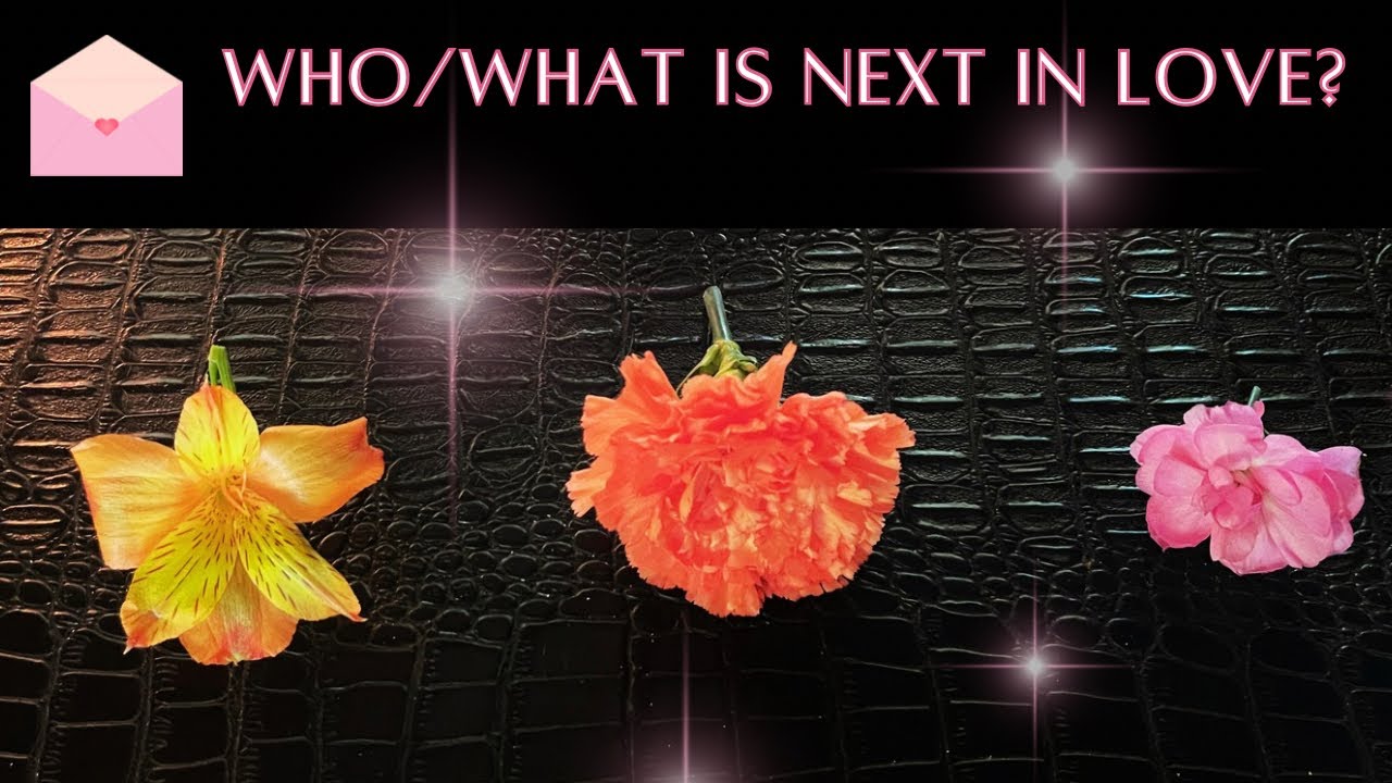 Pick A Card 🔮 Intuitive FLOWER 🌸 Reading • WHO & WHAT Is NEXT In LOVE ...