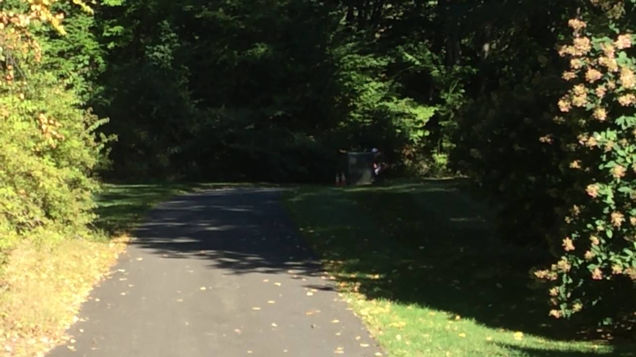 Taylor Swift riding a motorcycle - YouTube