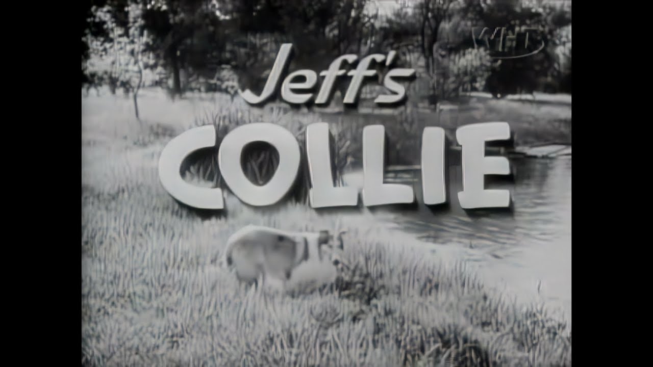 Lassie - (1954–1973) - Lassie Television - Robert Maxwell Associates ...