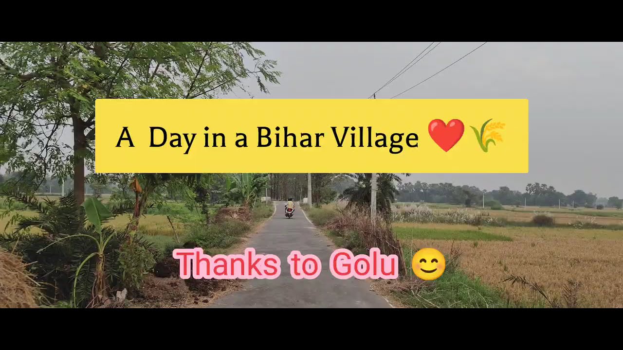 Real Bihar Village Life | Culture, Nature & Agriculture fields #shorts ...