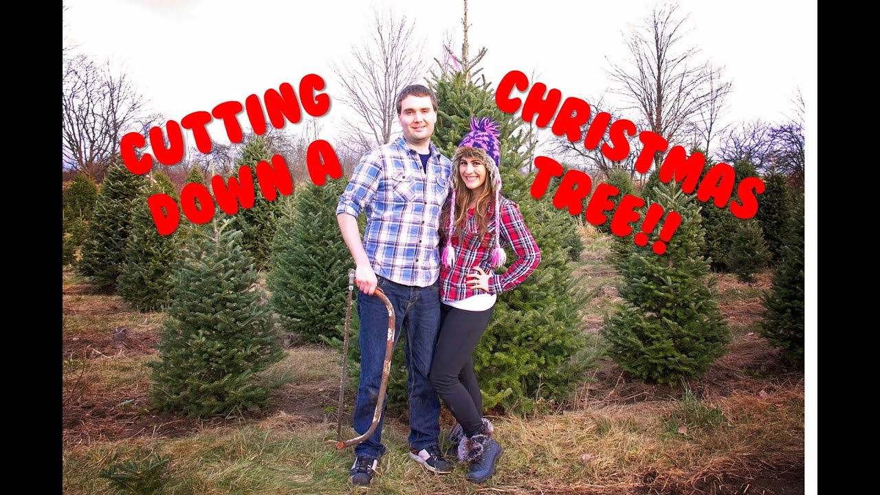 Cutting Down A Christmas Tree Youtube