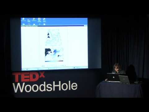 Science without sight | Amy Bower | TEDxWoodsHole - YouTube