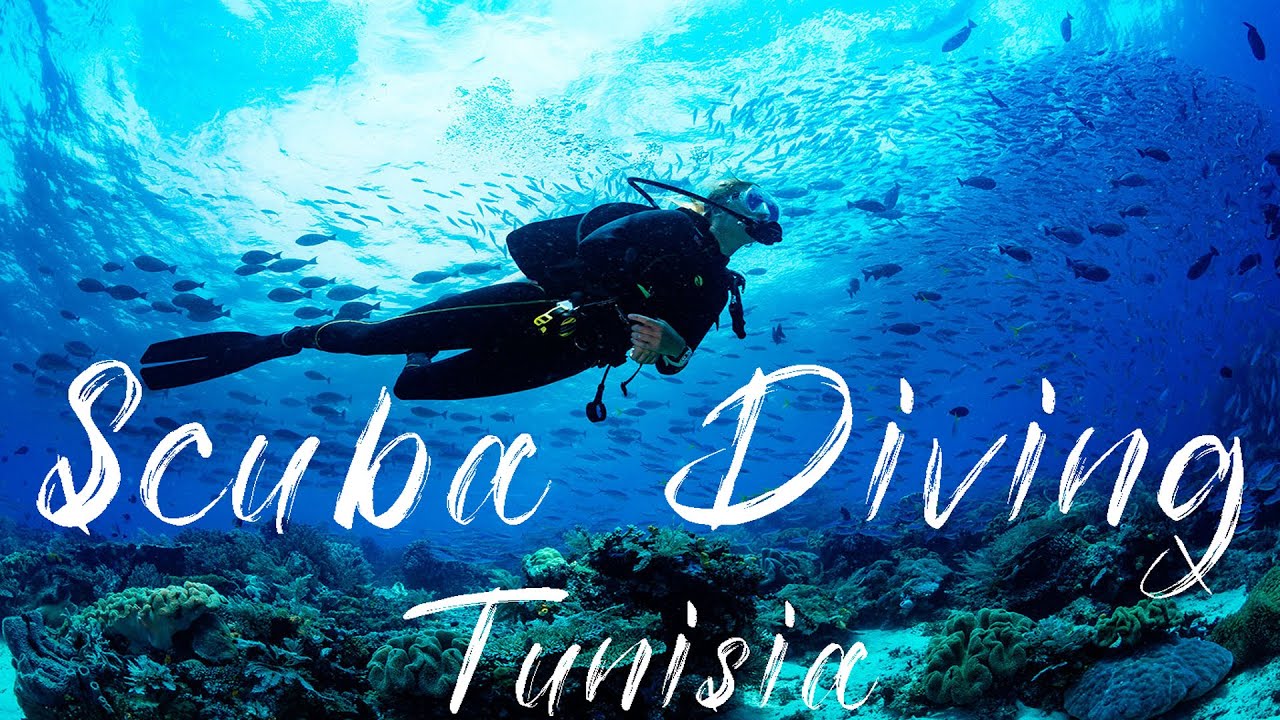 scuba diving in Tunisia -plongé sous marine tunisie-الغوص تونس - YouTube