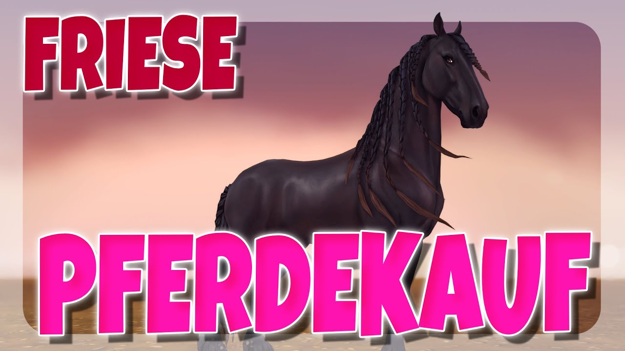 PFERDEKAUF - MEIN ZWEITER FRIESE 🧡 🐴 | Star Stable [SSO] - YouTube