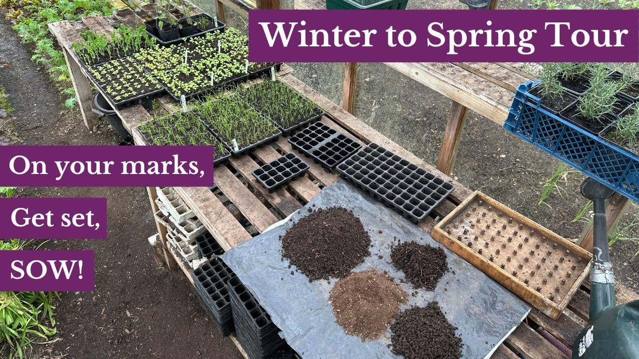First sowings and prepping beds for spring planting - YouTube