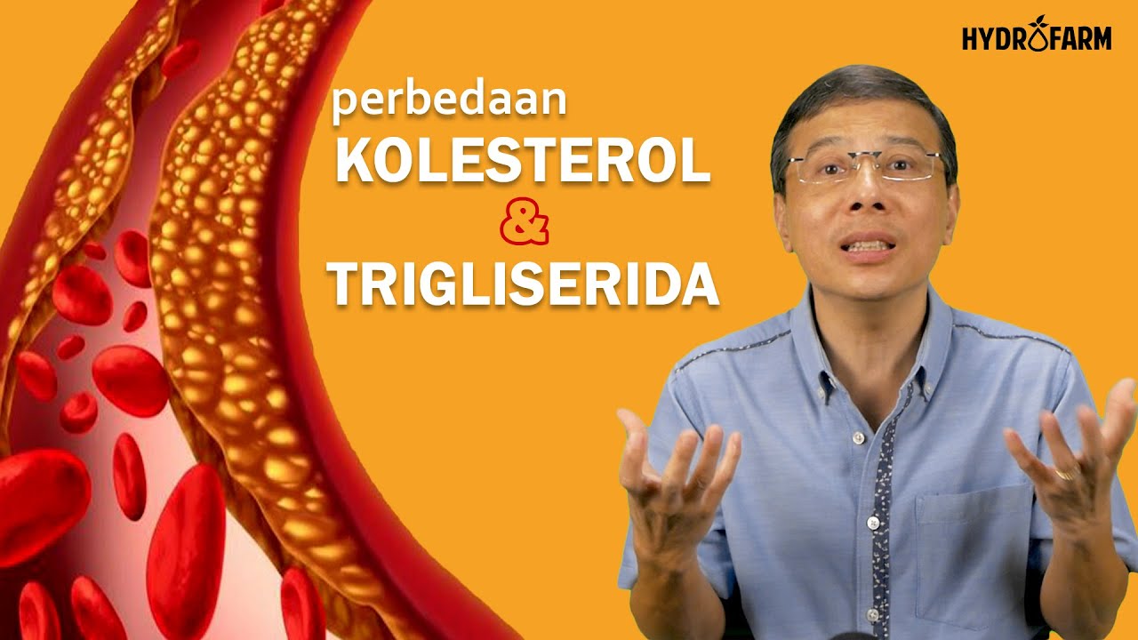 Perbedaan KOLESTEROL & TRIGLISERIDA. - YouTube