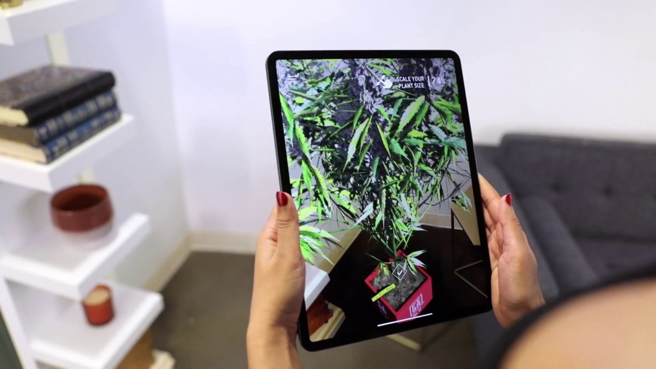 FIGR: Budtender App - YouTube