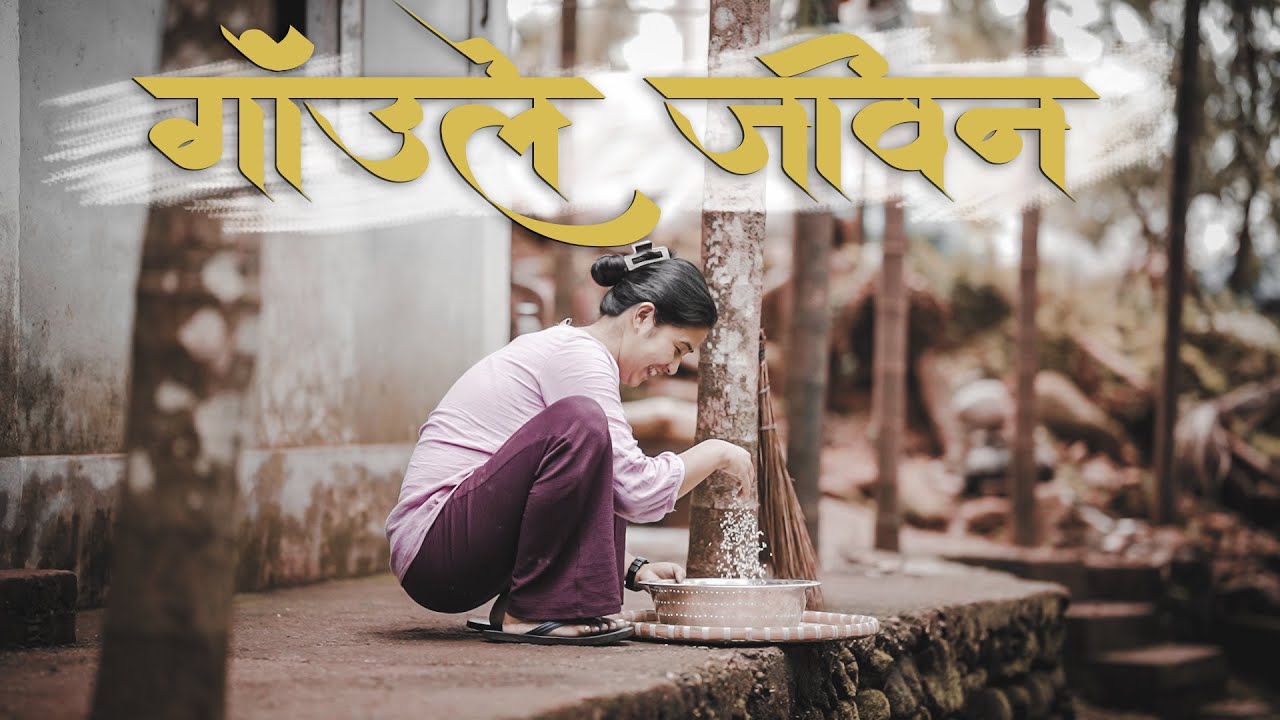 Village life in Gorubathan.. Supari harvesting time | Betel nut ...