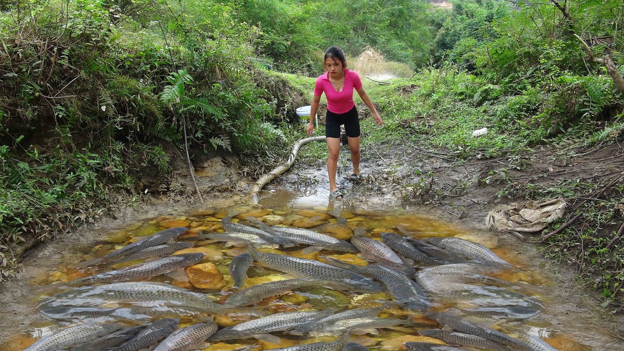 Survival Skills: Uniques fishing, Catch A Lot Of Fish, Survival Fishing ...