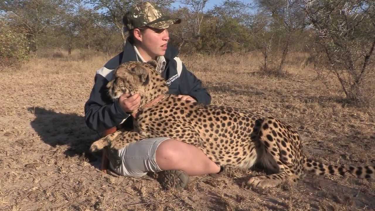 Tshukudu Game Reserve, Marula Camp - South Africa Travel Channel - YouTube