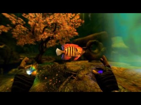 SKYRIM - Angelfish, Pygmy Sunfish & Spadefish location (by hand) - YouTube