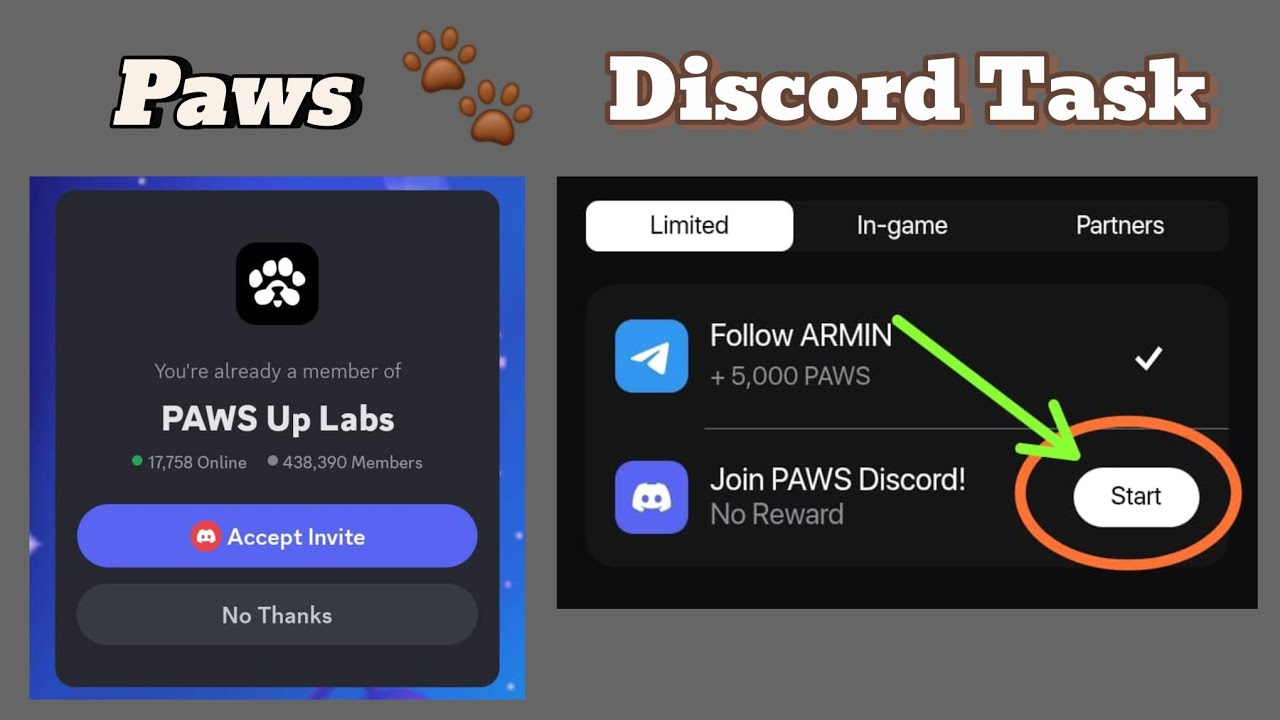 Paws 🐾 : How to complete the discord task | Make money with Telegram ...