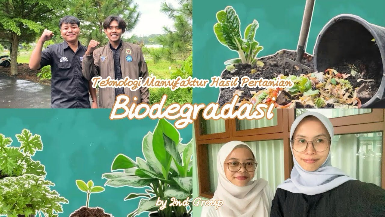Plastik Tak Lagi Abadi: Inovasi Biodegradasi untuk Bumi Lestari - YouTube