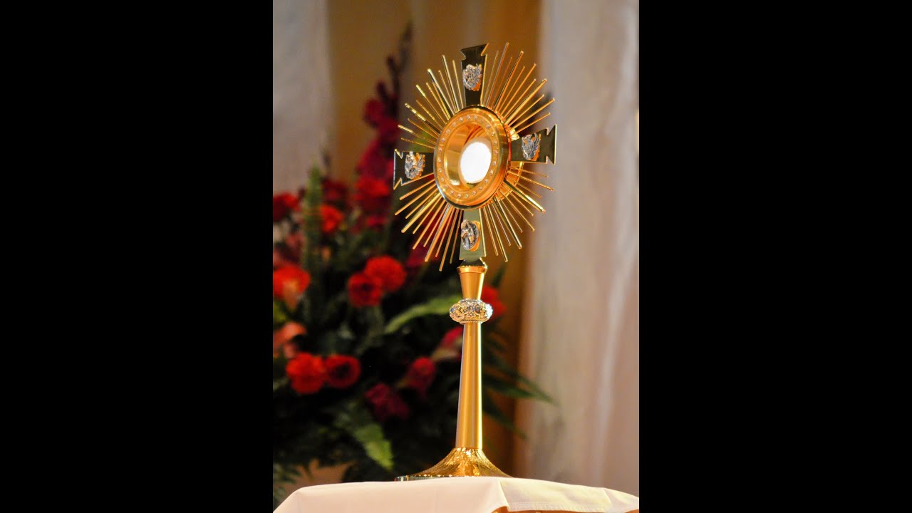 Holy Trinity San Antonio Texas,Eucharistic Procession June 22, 2014 ...