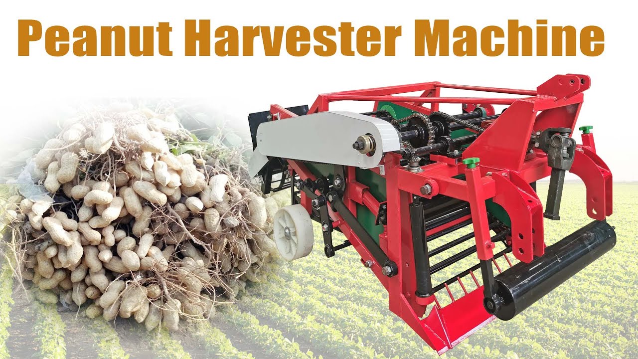 How does Peanut Harvester Machine Work? Efficient Groundnut Harvesting ...