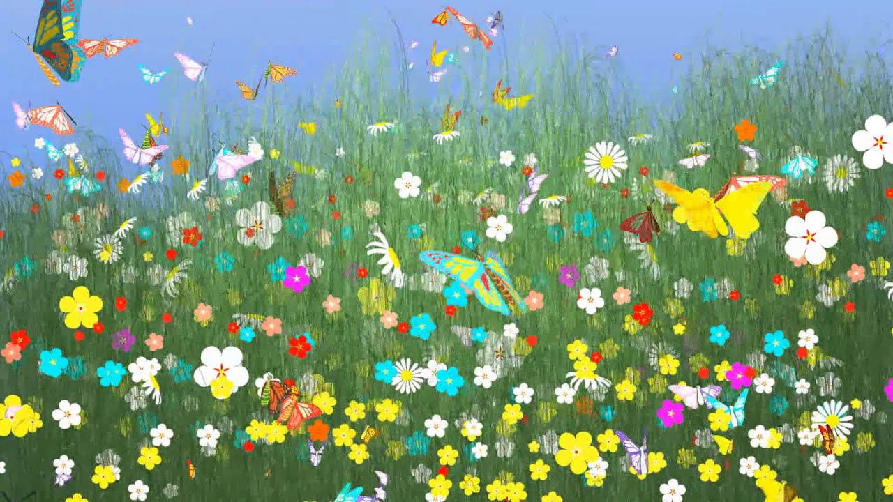 dragonfly vs butterfly - YouTube