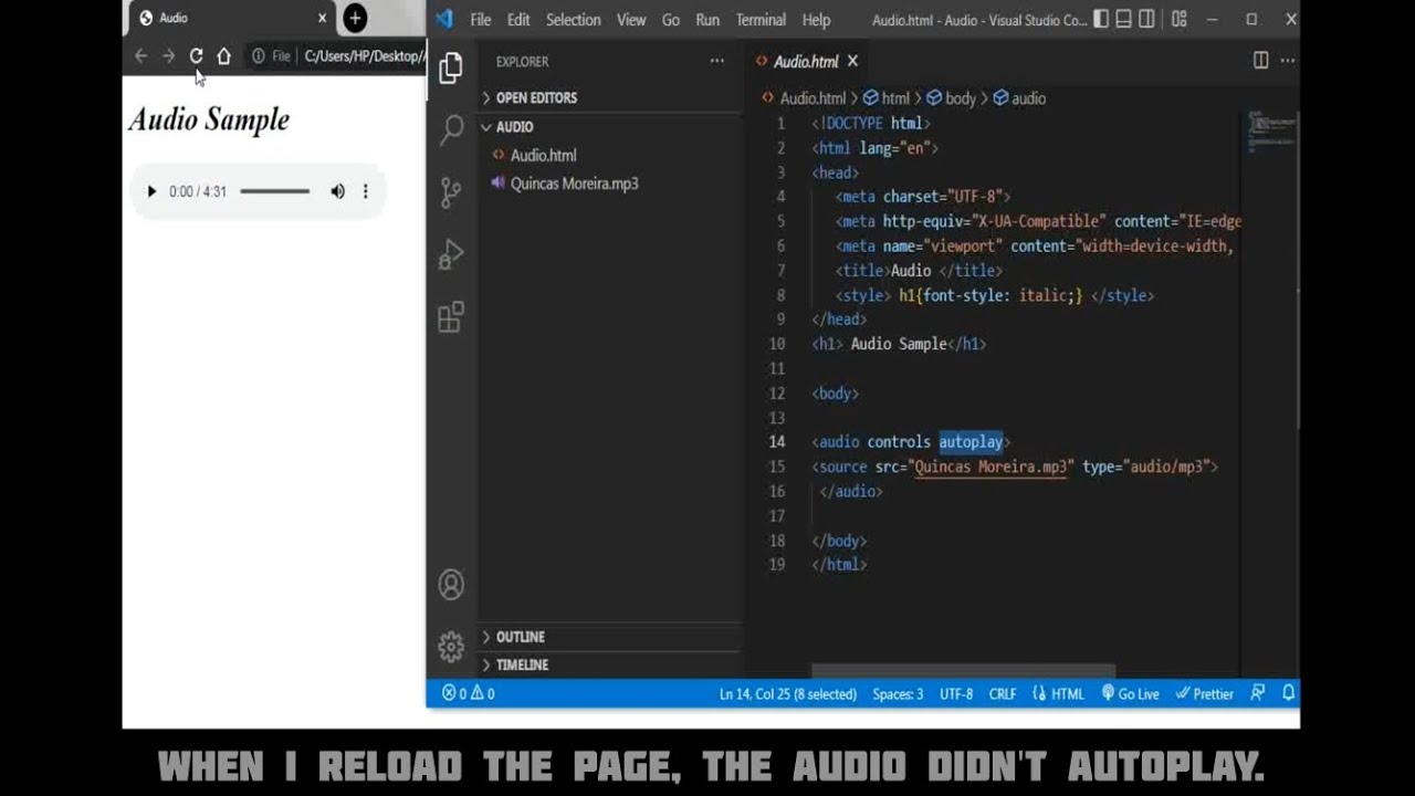 Audio Autoplay Attribute Not Working In Google Chrome Problem Fixed audio-autoplay-attribute-not-working-in-google-chrome-problem-fixed
