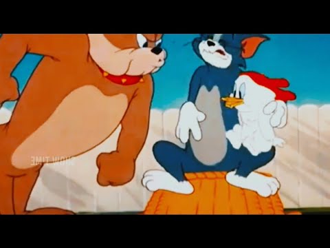 Tom and Jerry cartoon | Tom angry | fighting cartoons | cartoon network ...