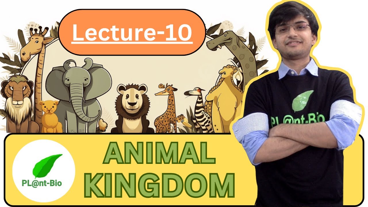 Animal kingdom class 11 biology || LECTURE-10 || NEET biology || NCERT ...