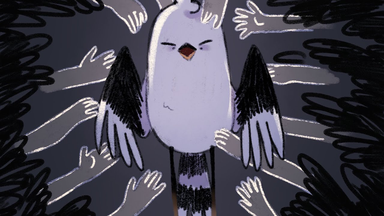 Virtual Bird | Scizo Birds Are Still Beautiful | Animatic music video ...