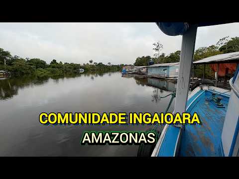 INGAIOARA TOPLULUĞUNDAKİ İLK GÜN – AMAZONAS – VİDEO 36