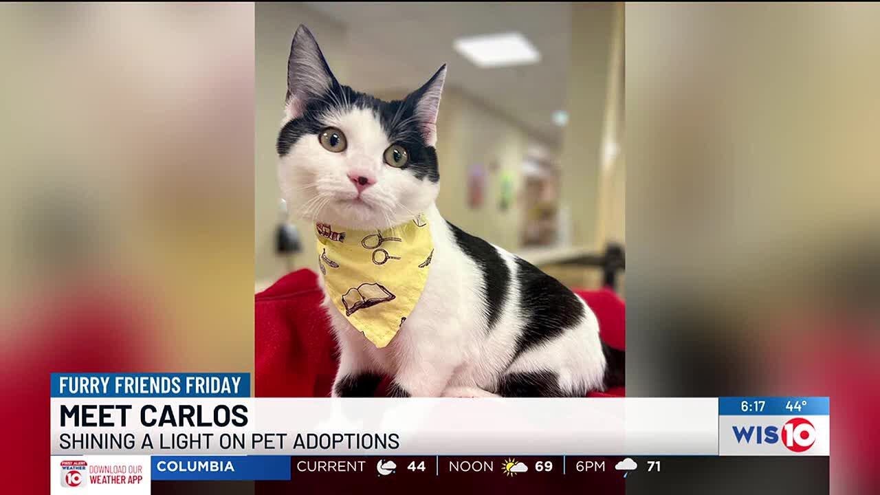 Furry Friends Friday - Carlos - YouTube