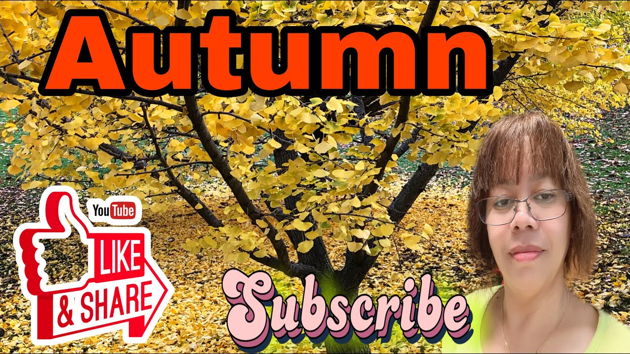 Autumn 🍂 - YouTube