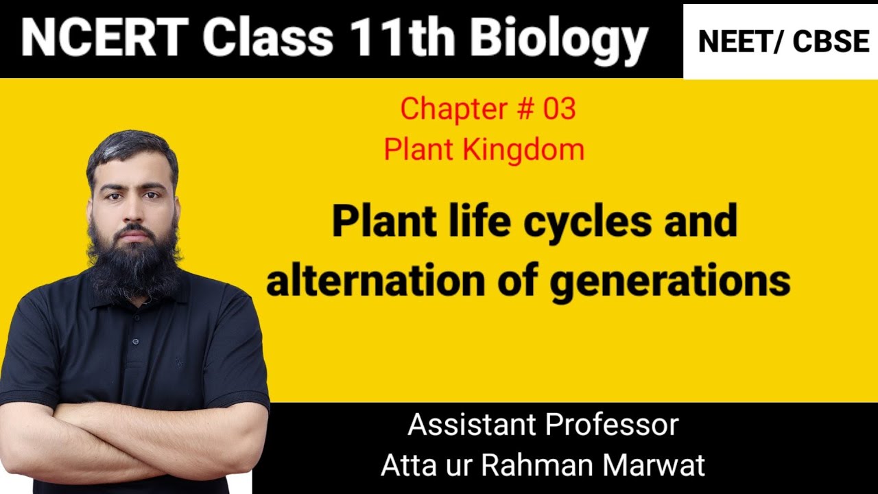 Plant life cycles and alternation of generations | Plant Kingdom ...