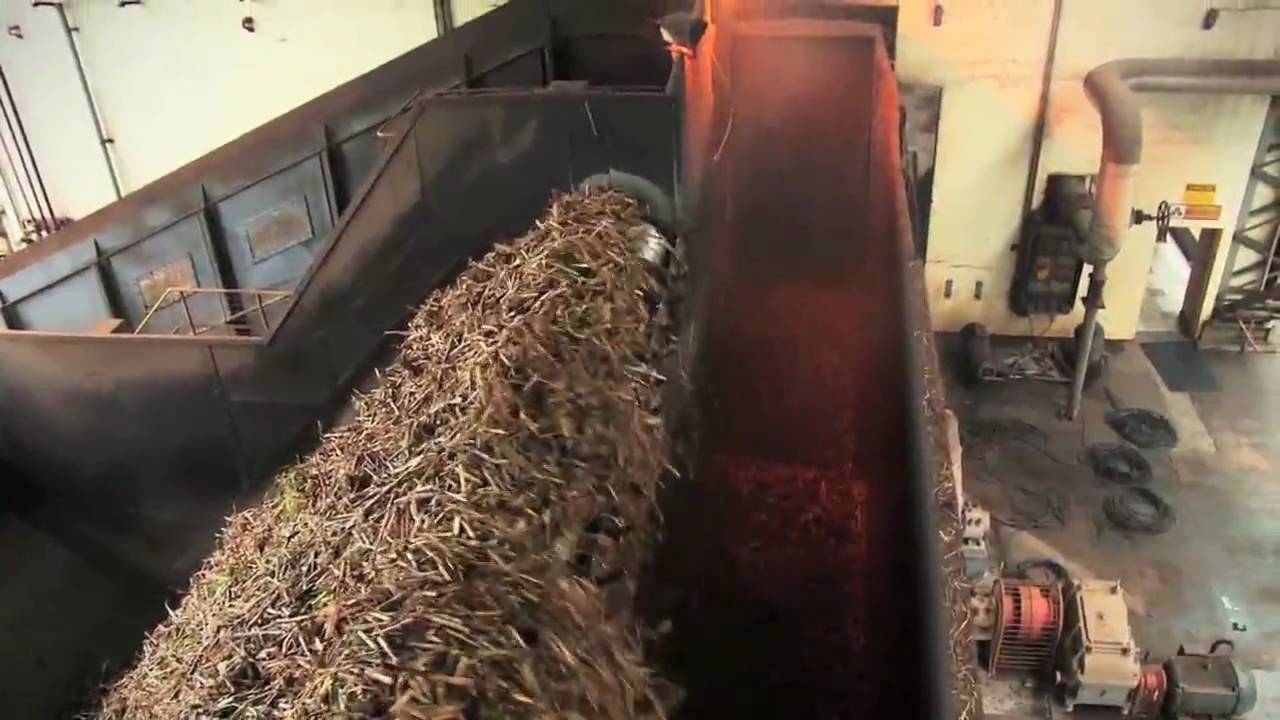 Ch. 4 - Crushing Cane - YouTube