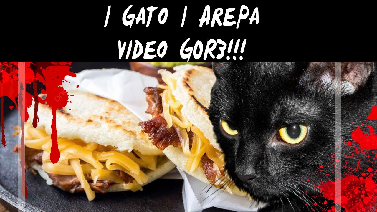 1 Gato 1 Arepa video G0R3 | KuroNeko - YouTube
