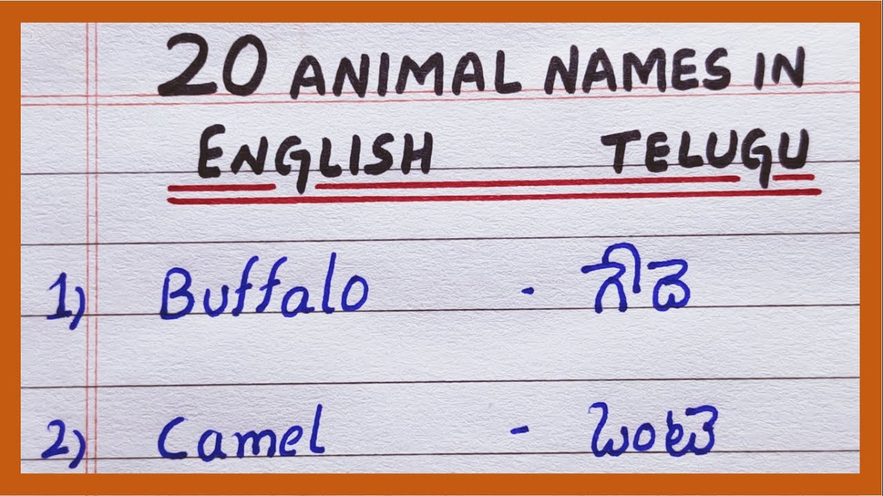 Animal Names in English and Telugu | 20 Animal Names in English and ...