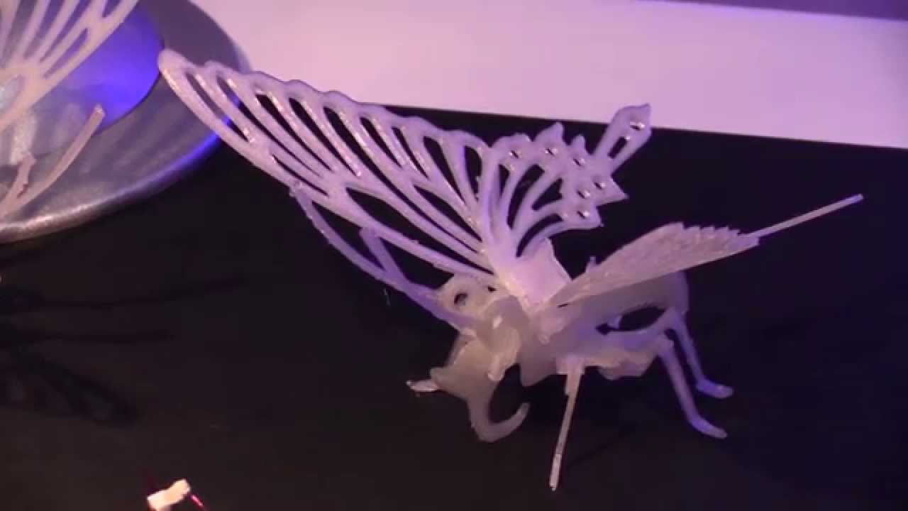 Bioinspired beetle-robots at UK Robotics Week - YouTube