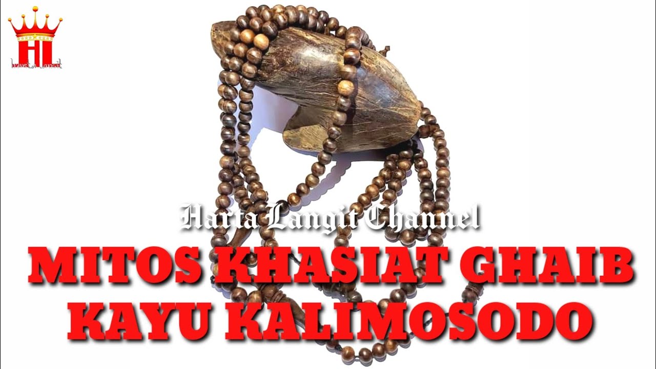 Mitos Khasiat Ghaib Kayu Kalimosodo (Kalimasada) - YouTube