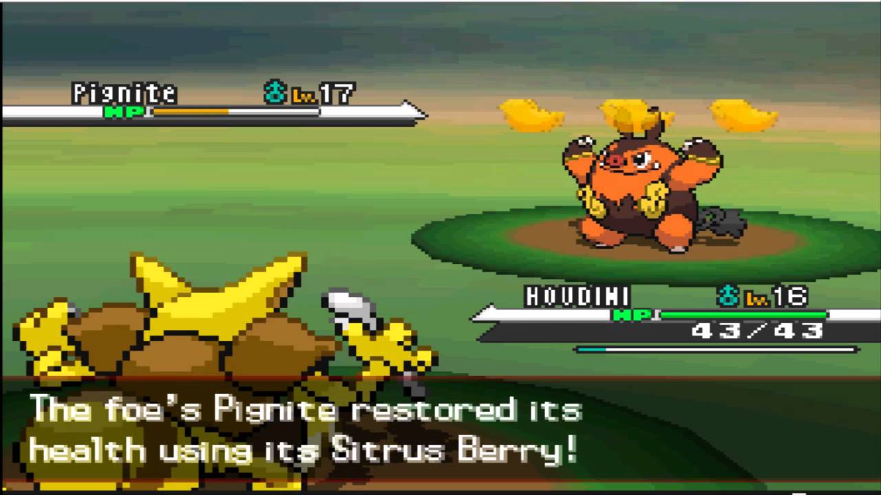 Lets Play Pokemon Pitch Black (Rom Hack) Episode 5 : Welcome Houdini ...