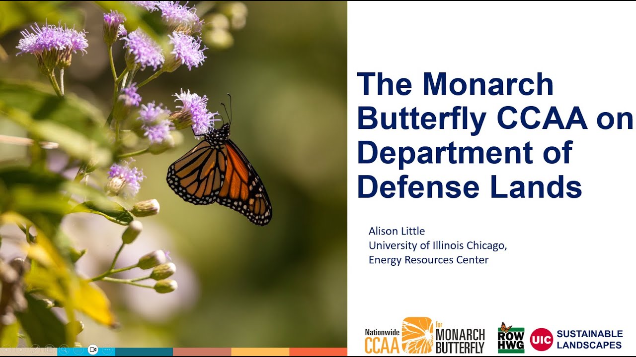 Monarch CCAA Department of Defense ROW Partnership Initiative Overview ...