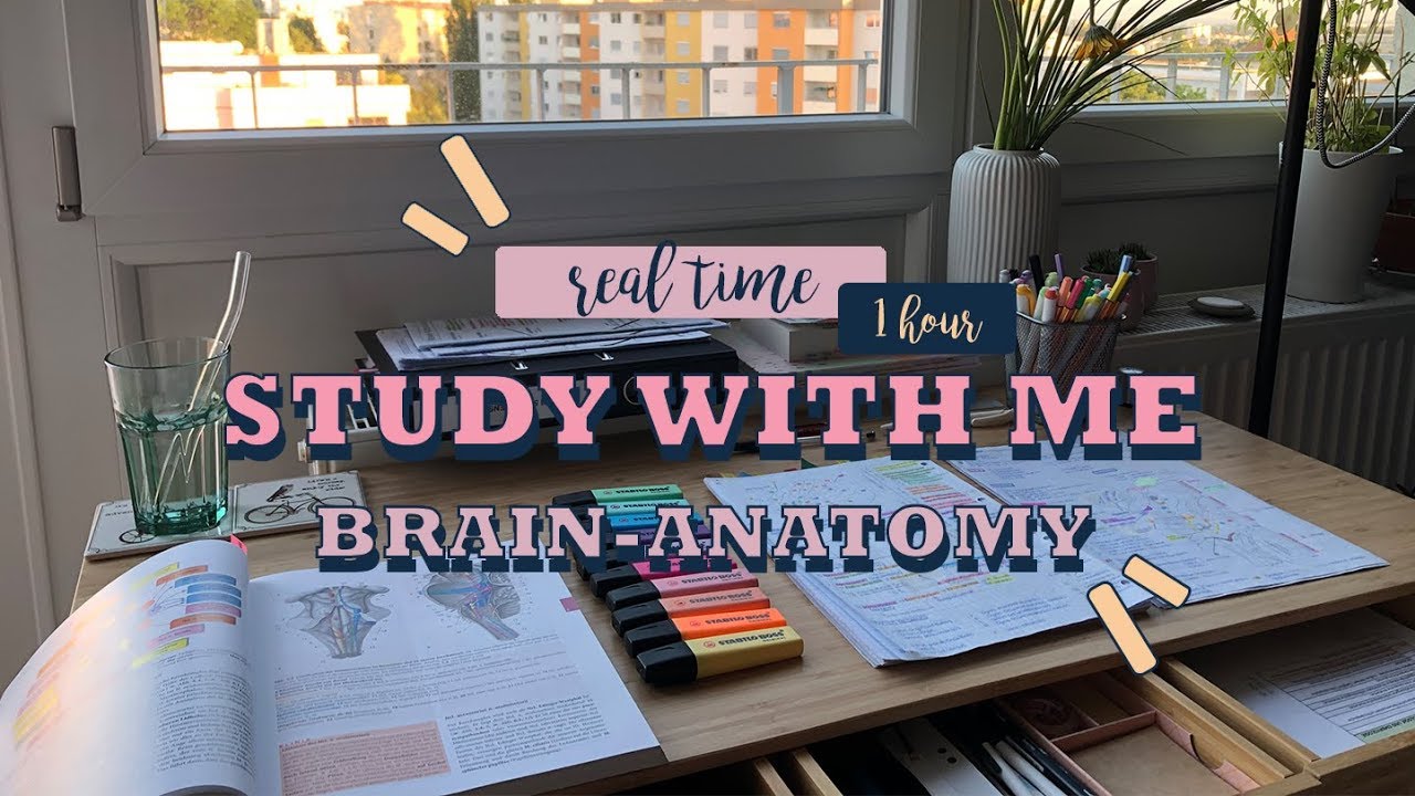 Real time study with me - Anatomy - YouTube