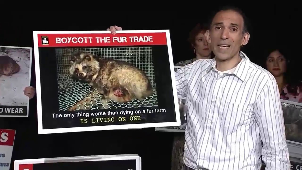 The Various Ways the Fur Industry abuses animals - appearance on China ...