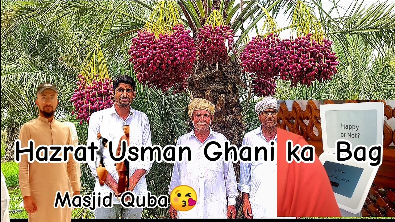 Hazrat Usman Ghani رضی اللہ عنہ Ka Bagh😍😋|Masjid e Quba Mashallah😇 ...