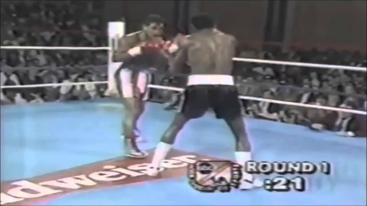 Howard Davis Jr. Fastest Hands in Boxing - YouTube