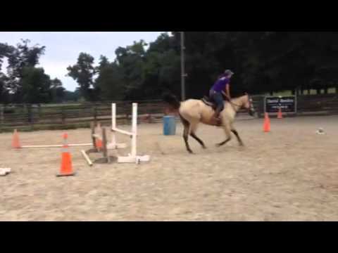 Bucky jumping #1 - YouTube