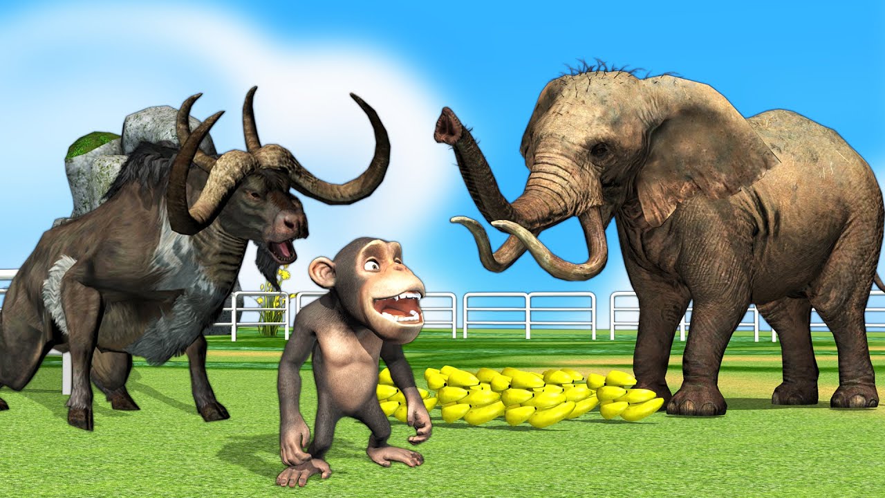 Greedy Elephant steals Banana Comedy video | Monkey and Buffelo vs ...