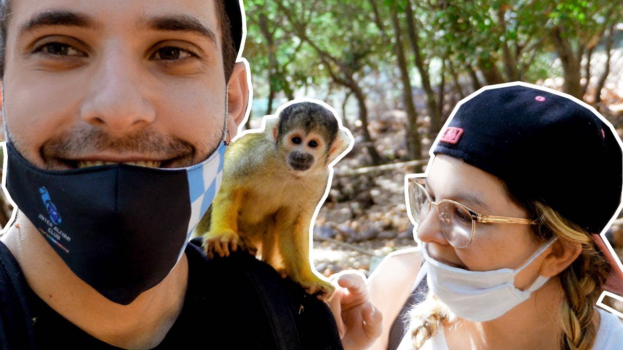 Dentro de un IMPACTANTE REFUGIO de MONOS en ISRAEL | Los monos están ...
