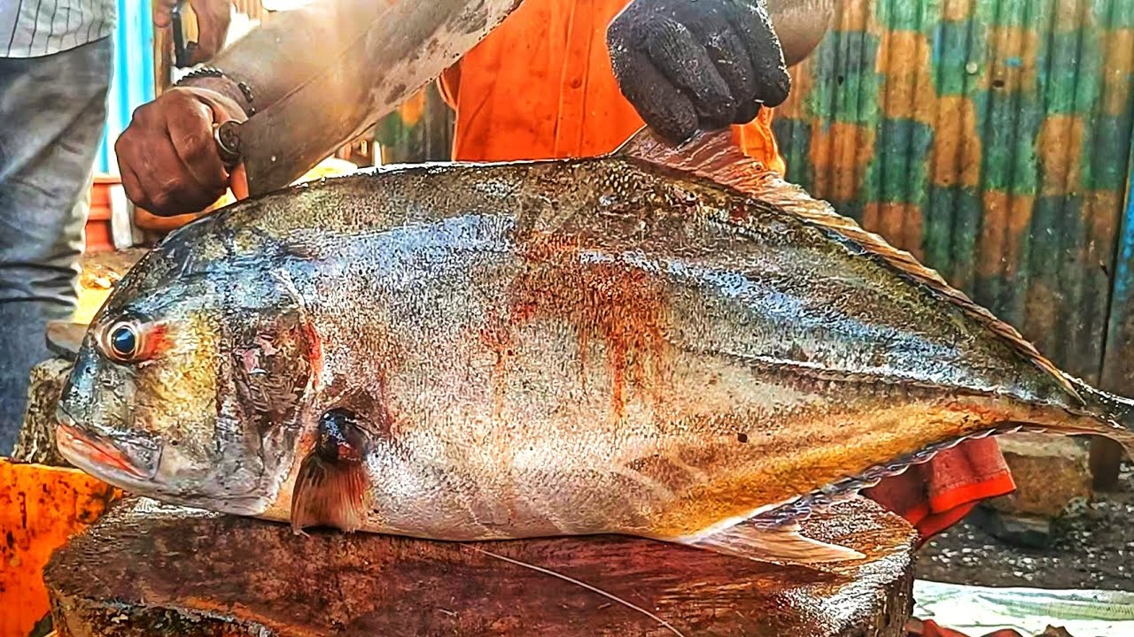 KASIMEDU 🔥 MINNAL RAJA | BIG TREVALLY PARAI FISH CUTTING | IN KASIMEDU ...