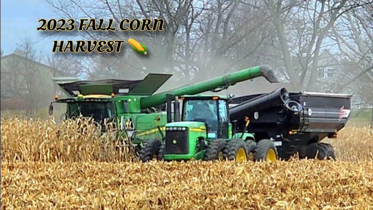 2023 FALL CORN 🌽 HARVEST JOHN s670 COMBINE HARVESTING CORN WITH 8 ROW ...