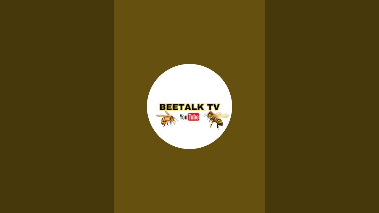 BEETALK TV is live! - YouTube